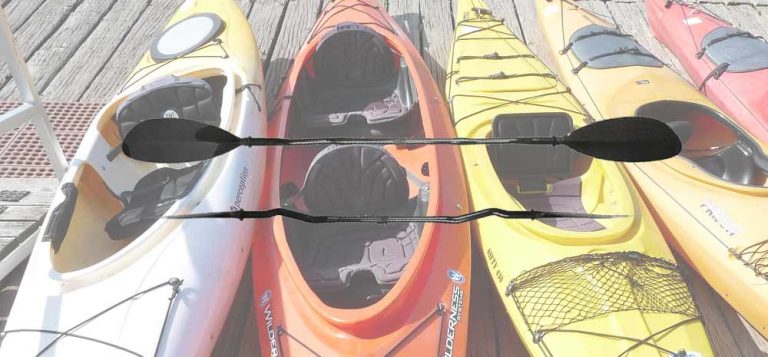 Bent Shaft Kayak Paddle - Your Comfort & Efficiency Partner